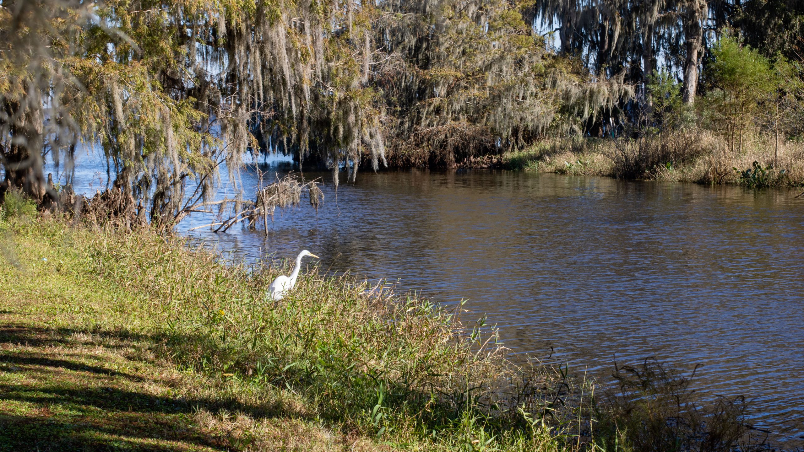 Forever in Florida - A look at PFAS from WUFT News