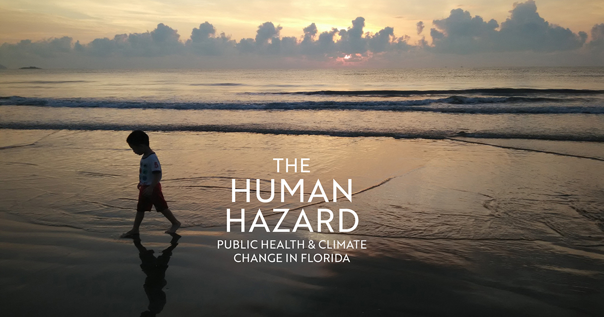 About - The Human Hazard