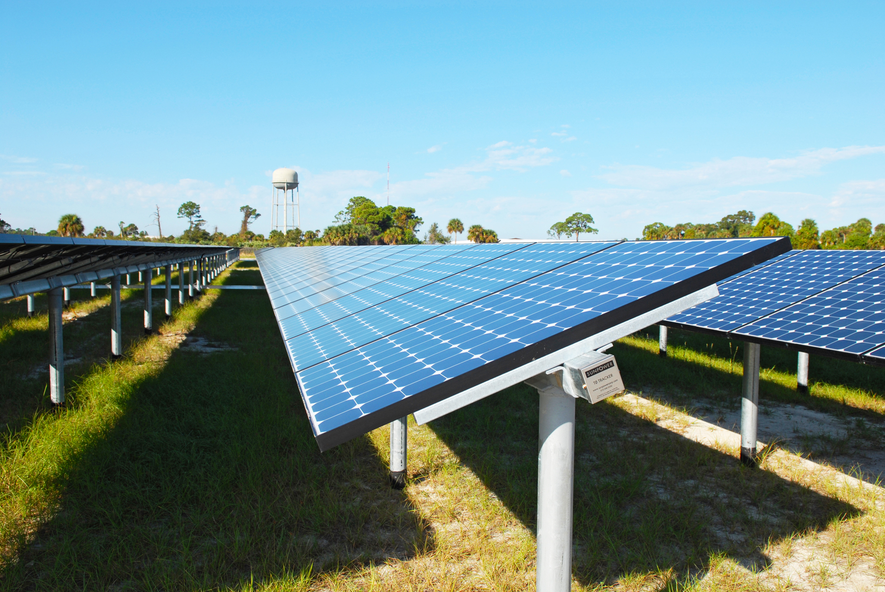 Seven Must-Do Solutions - Peak Florida