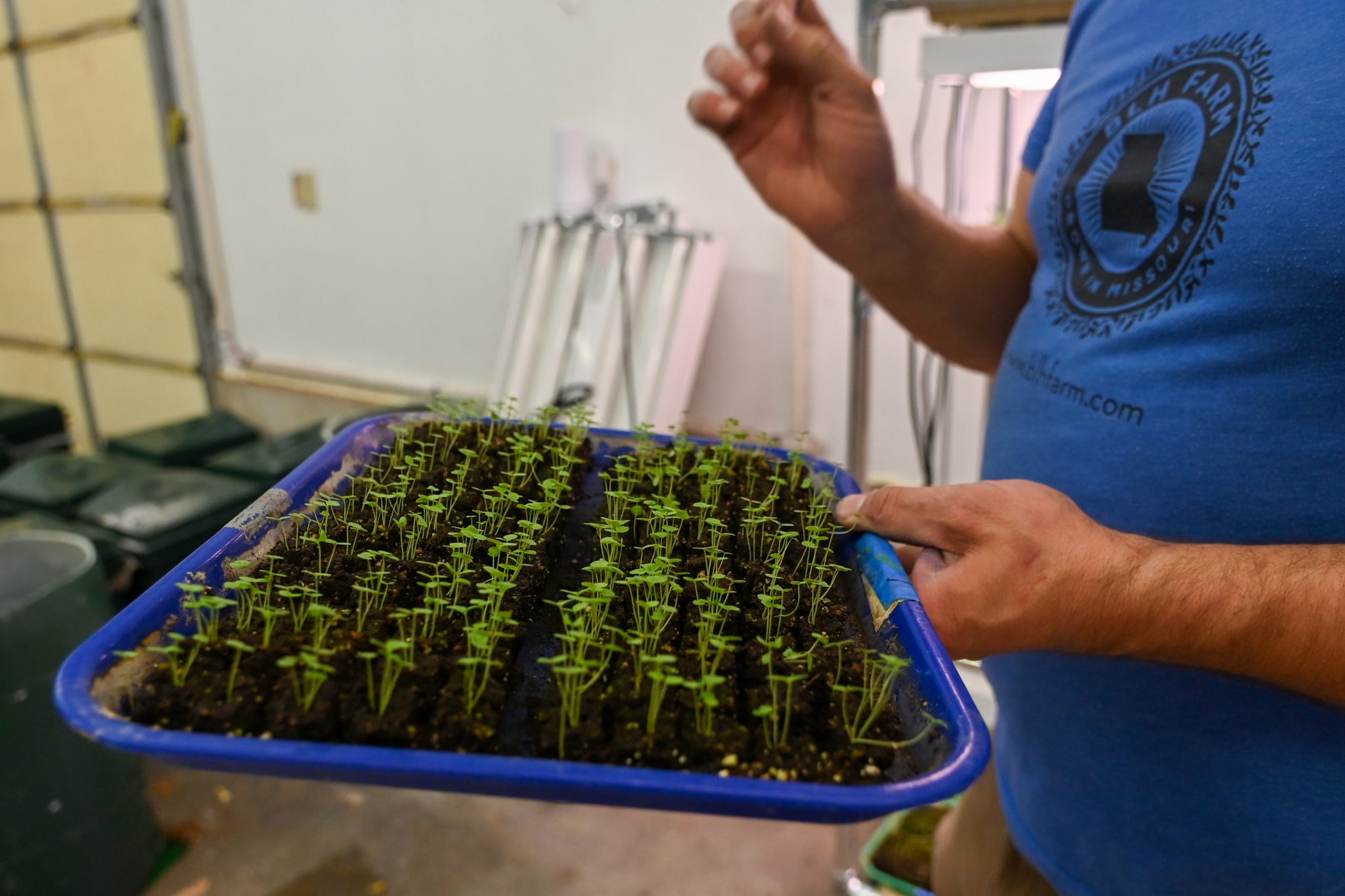 Missouri farm embraces regenerative agriculture using mushrooms - The ...