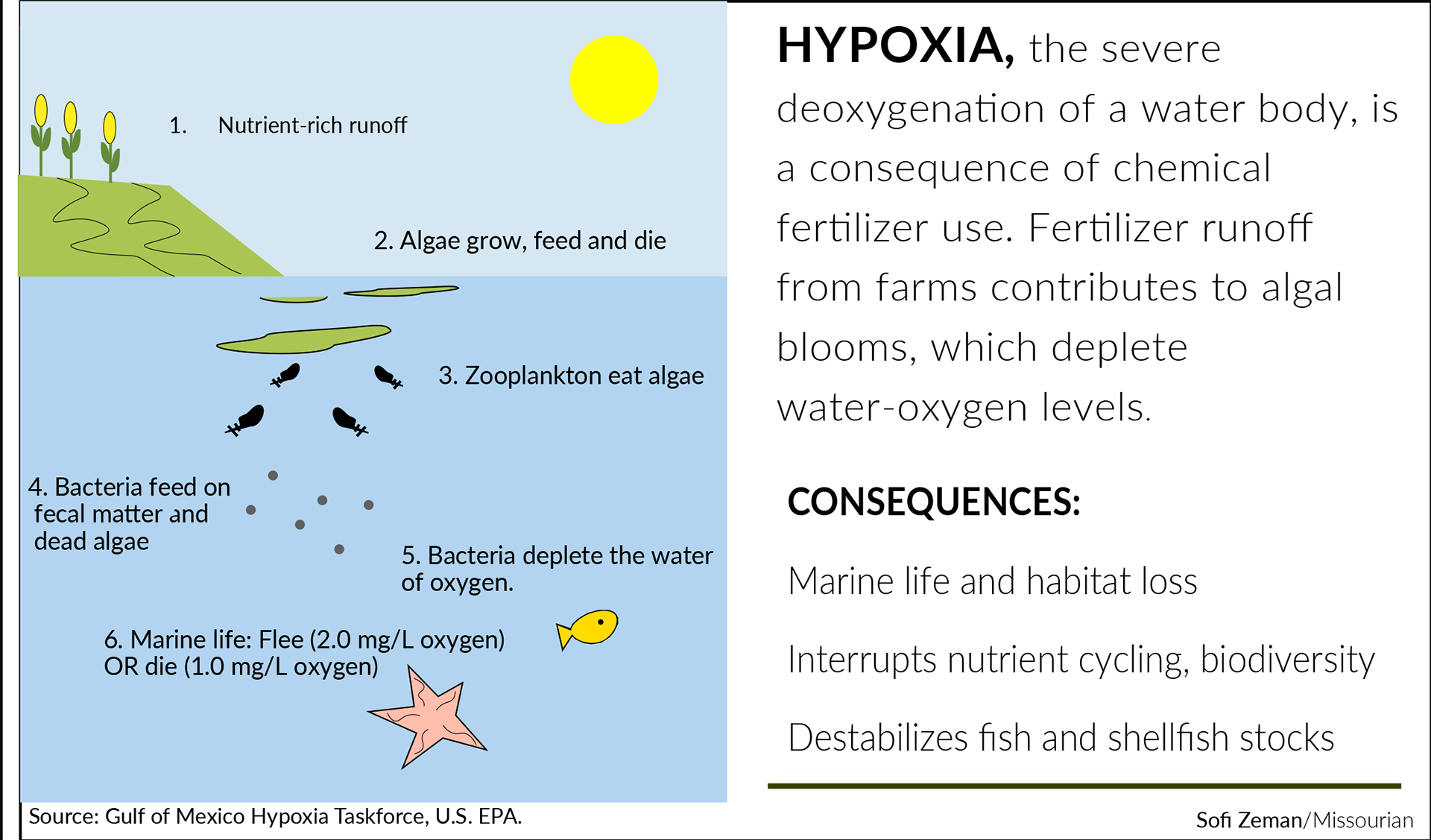 Gulf of Mexico dead zone researcher Nancy Rabalais leaves legacy for ...