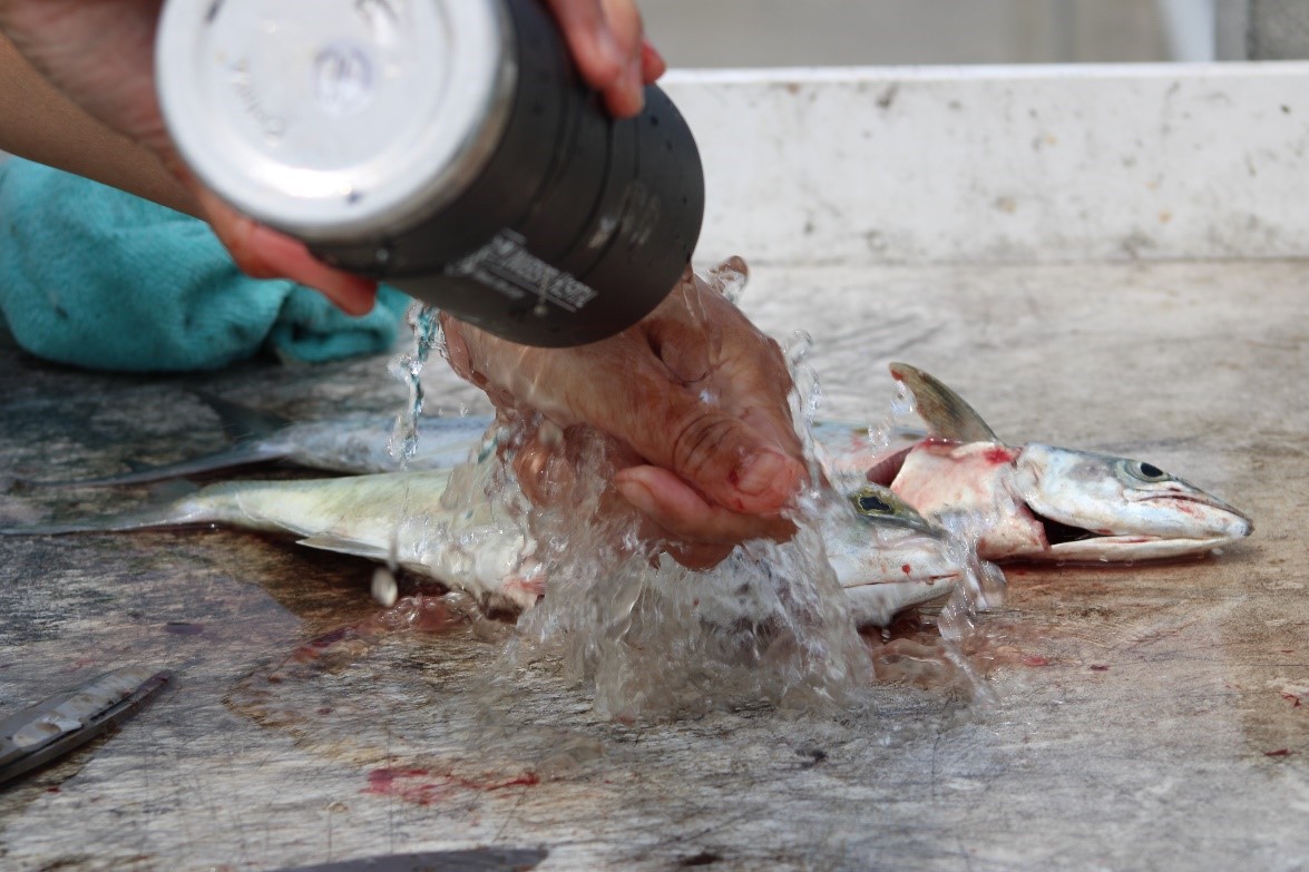 On a Fish and a Prayer - WATERSHED